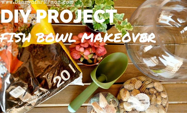 DIY Project – Fish Bowl Makeover – DIARY OF A PMP MOM