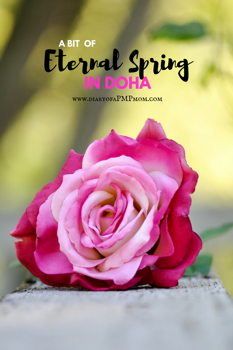 A Bit Of Eternal Spring In Doha.. – DIARY OF A PMP MOM